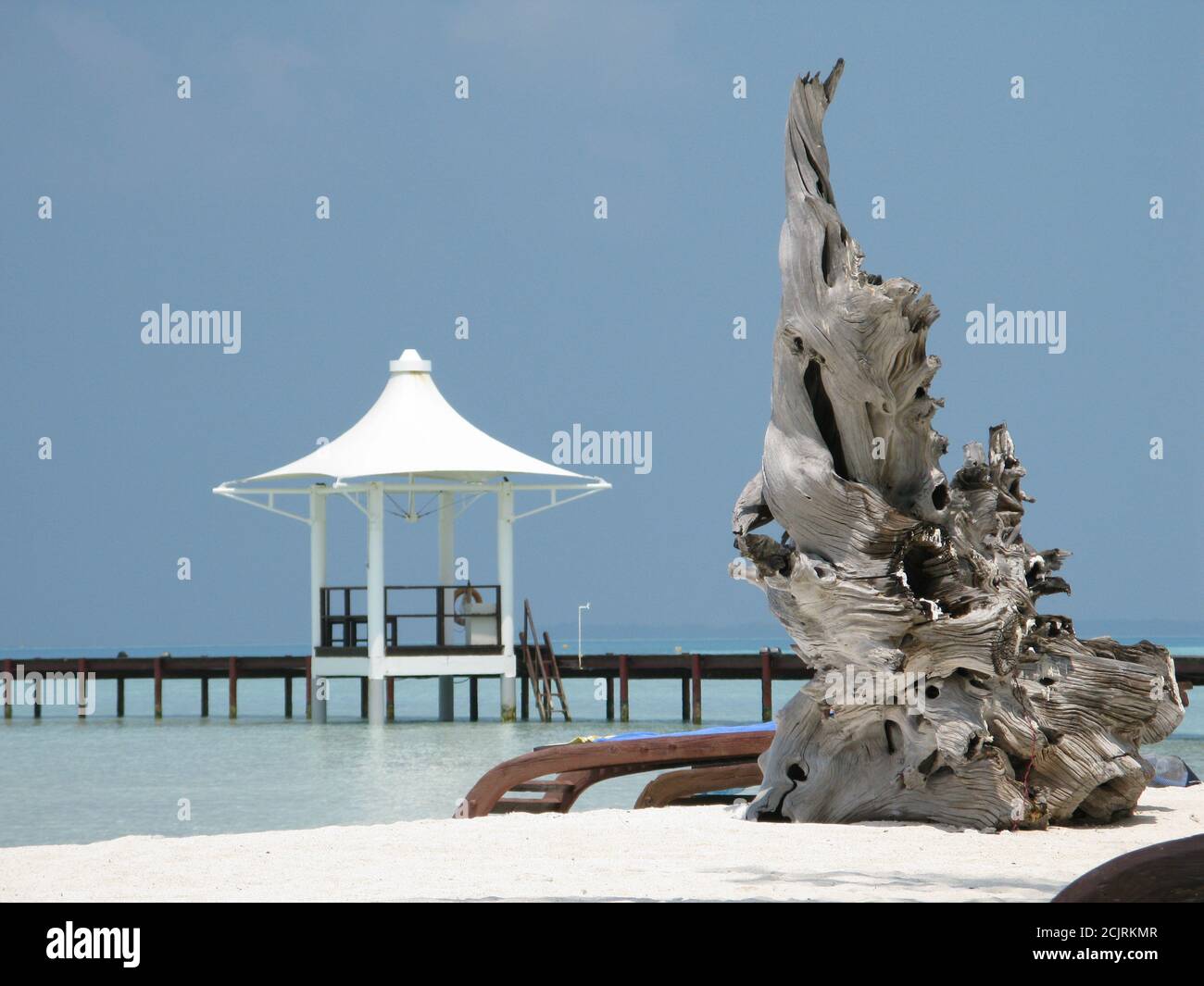 Wizened hi-res stock photography and images - Alamy