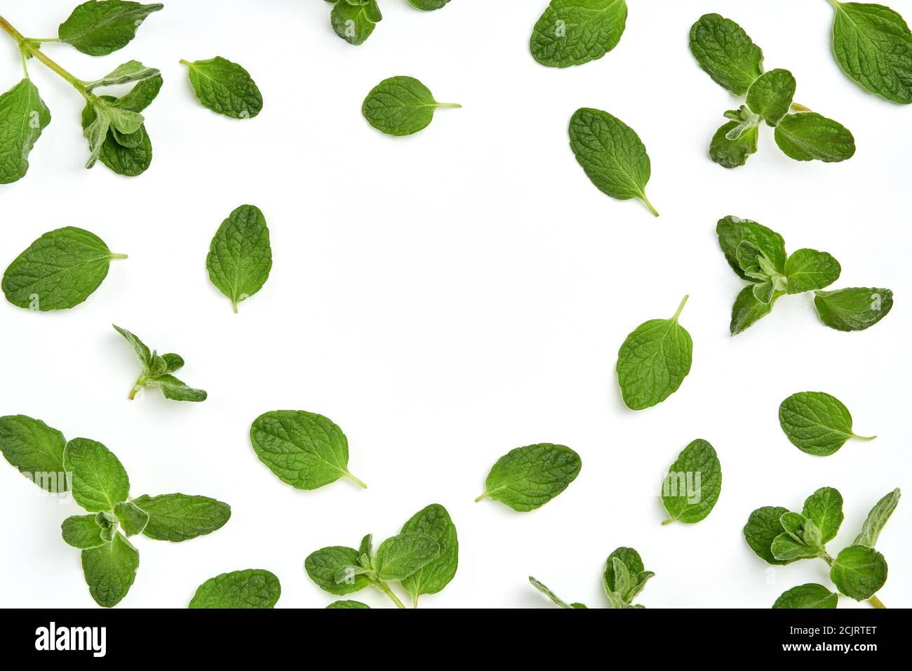 Fresh zaatar, oregano leaves composition on white background. Top view ...