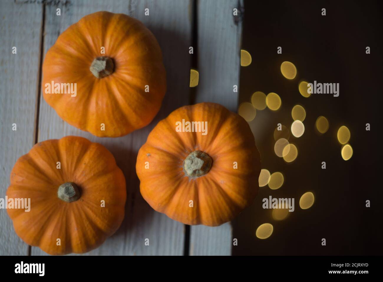 Orange pumpkins on light hi-res stock photography and images - Alamy