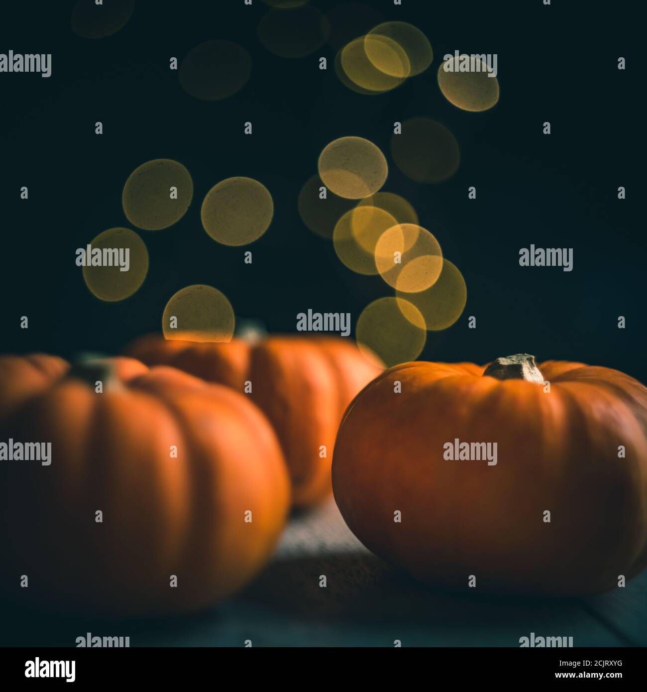 three little pumpkins on a dark background with yellow bokeh light ...