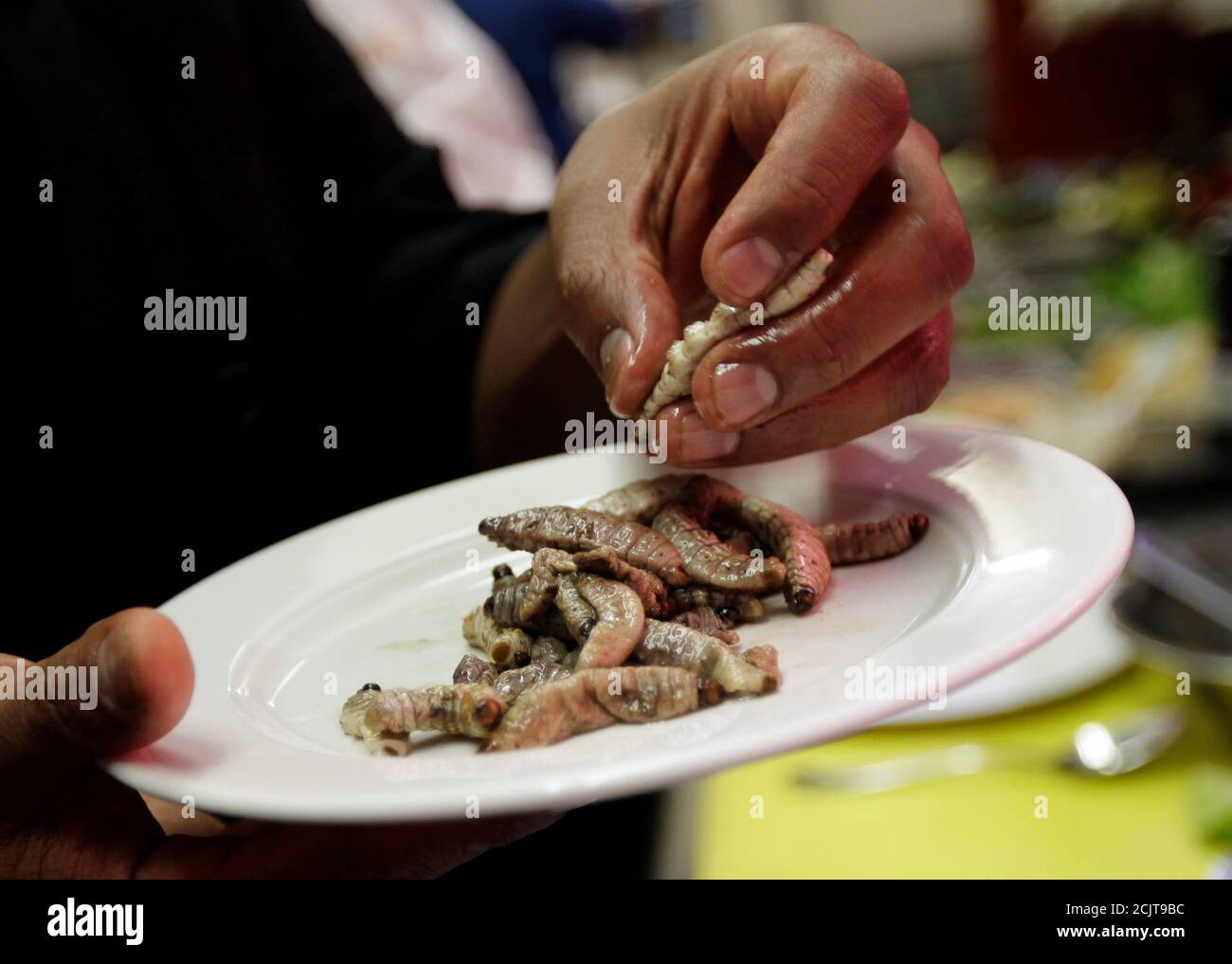 Maguey worms hi-res stock photography and images - Alamy