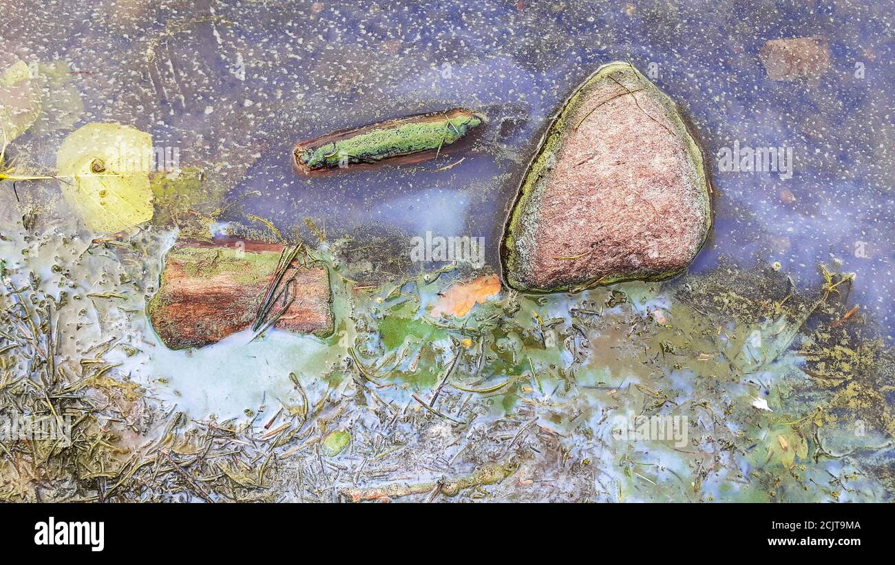 Algae on lake hi-res stock photography and images - Alamy
