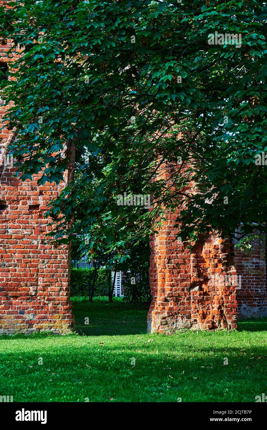 Medieval ruined monastery in a public park in Greifswald, Germany Stock ...