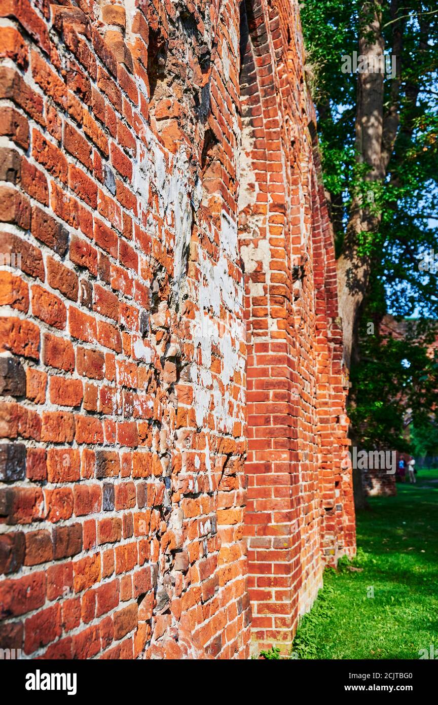 Medieval ruined monastery in a public park in Greifswald, Germany Stock ...