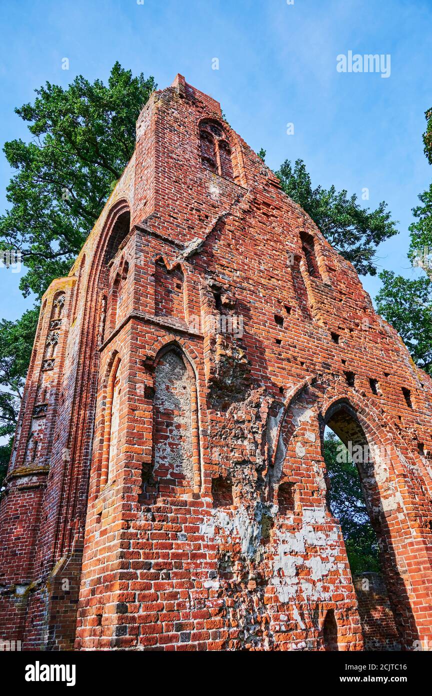 Medieval ruined monastery in a public park in Greifswald, Germany Stock ...