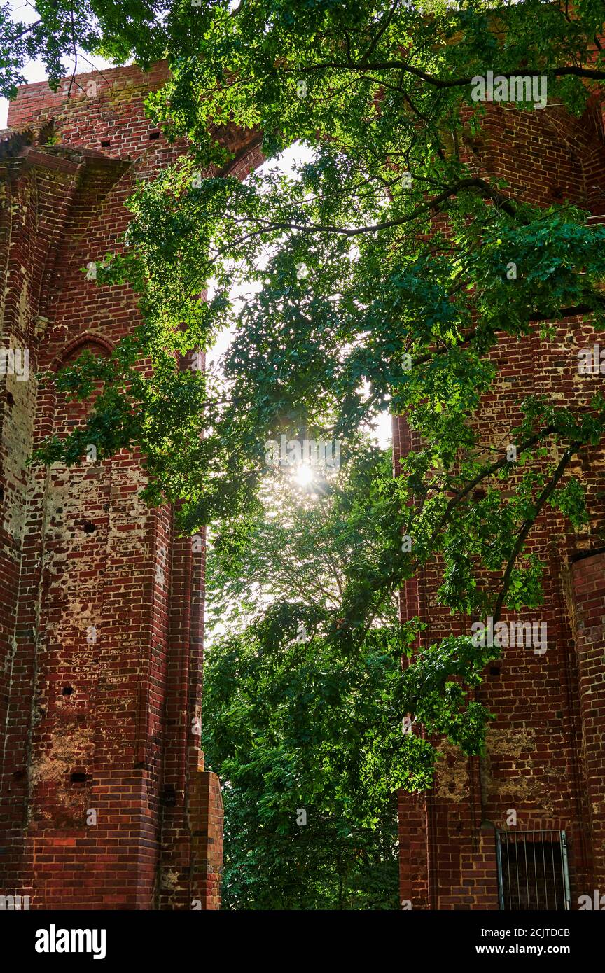 Medieval ruined monastery in a public park in Greifswald, Germany Stock ...