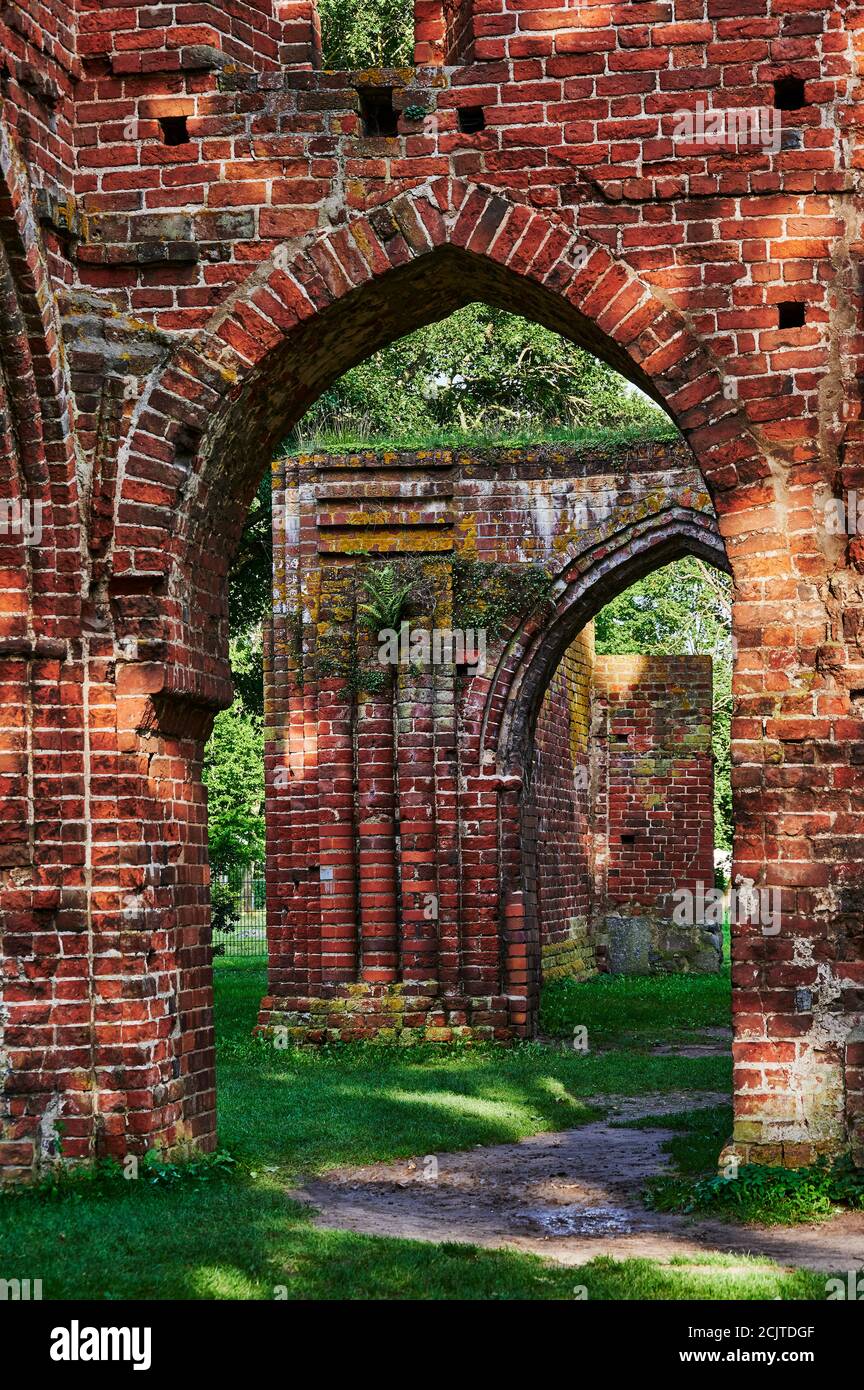 Medieval ruined monastery in a public park in Greifswald, Germany Stock ...