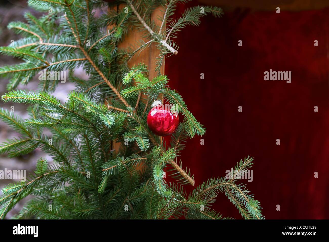 Closeup shot of a small red bauble on the pine tree Stock Photo - Alamy