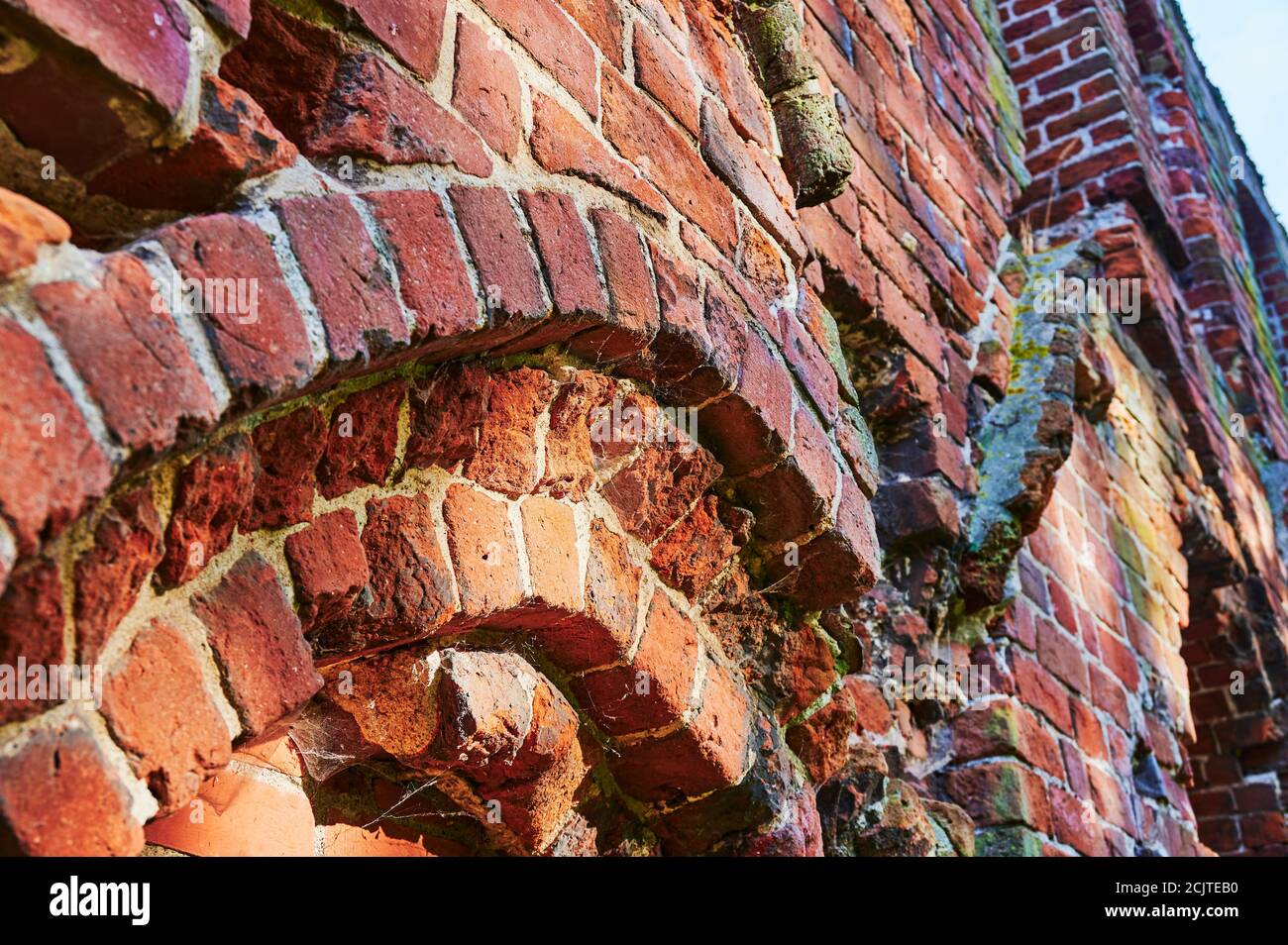 Medieval ruined monastery in a public park in Greifswald, Germany Stock ...