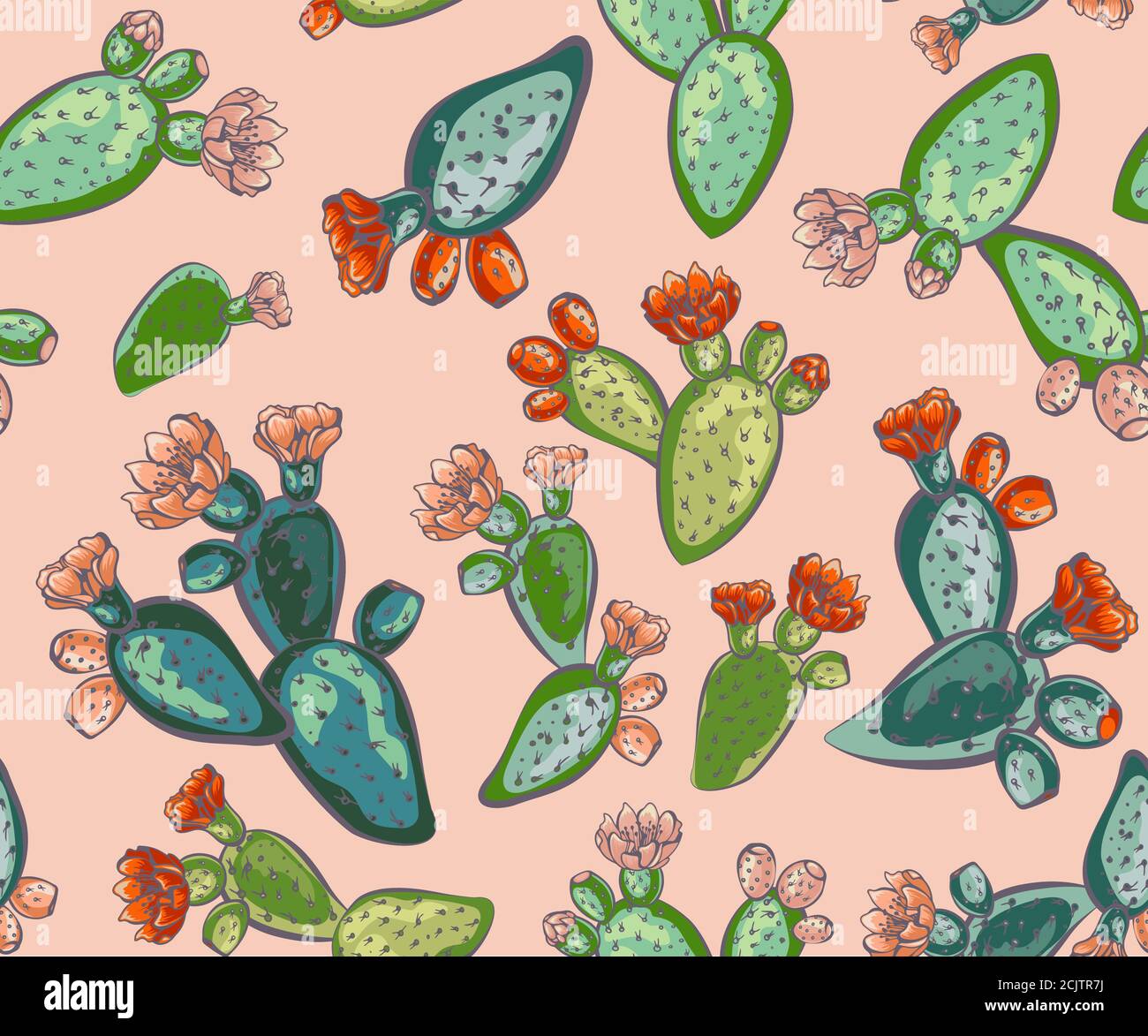 Cactus hand drawn vector seamless pattern. Creative texture Doodle style. Isolated vector object ...