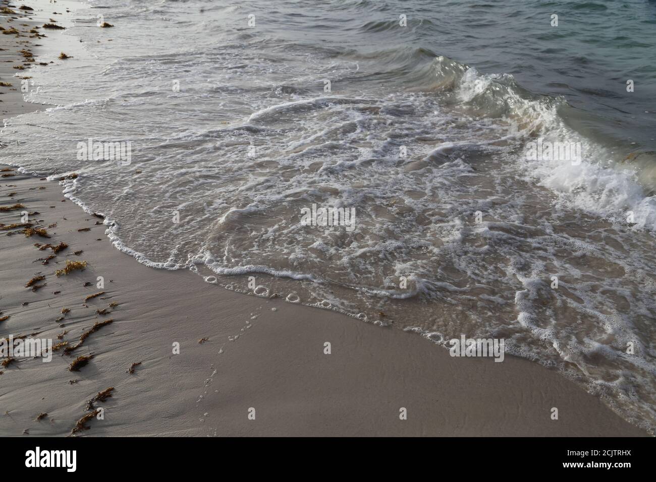High angle shot of the foamy waves of the sea on the wet sand Stock ...