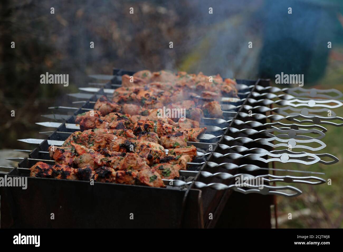 Closeup of fresh meats o the barbeque Stock Photo - Alamy