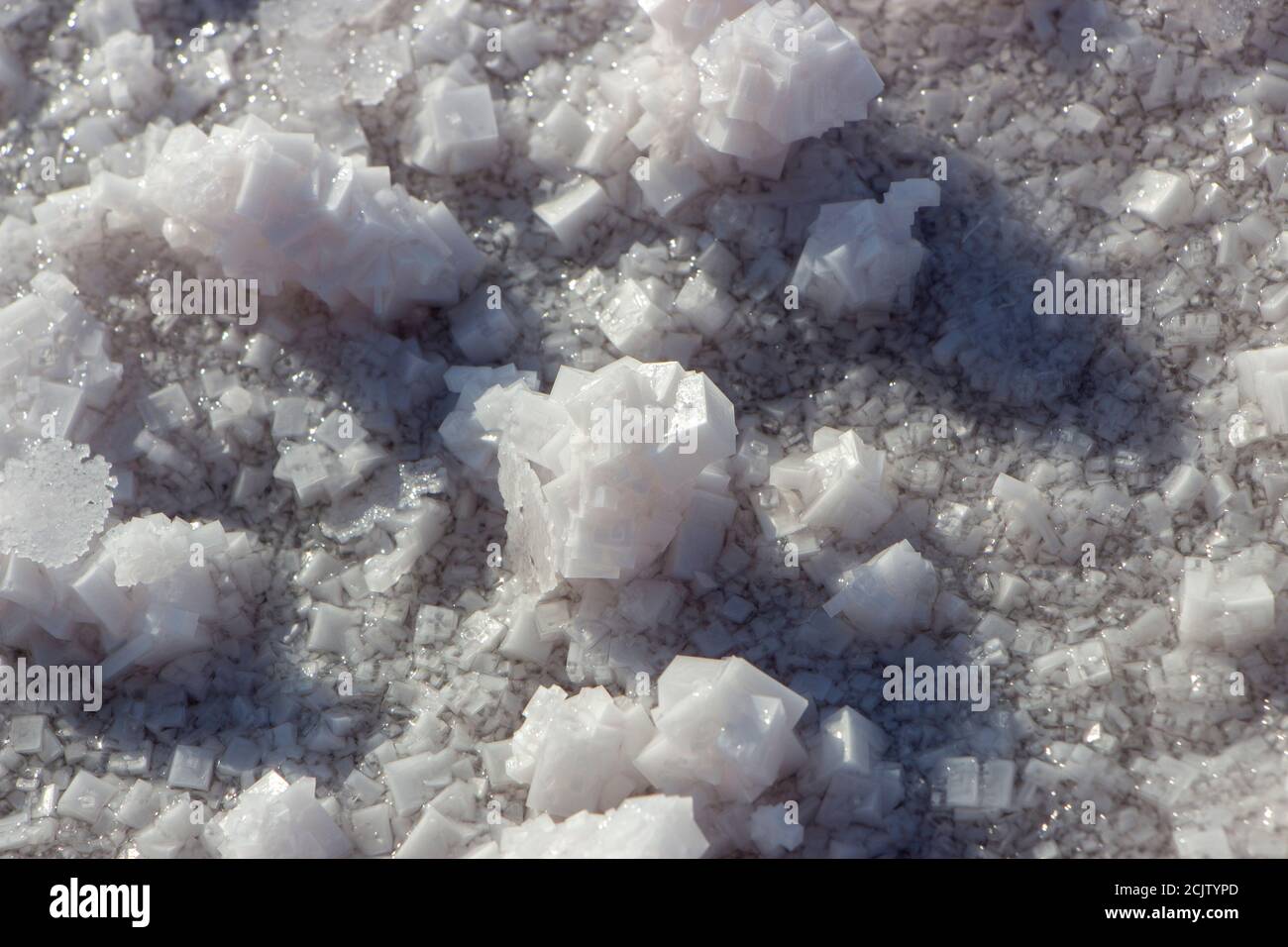 Salt crystals formed on the shores of the pink salt lake. Pink ...