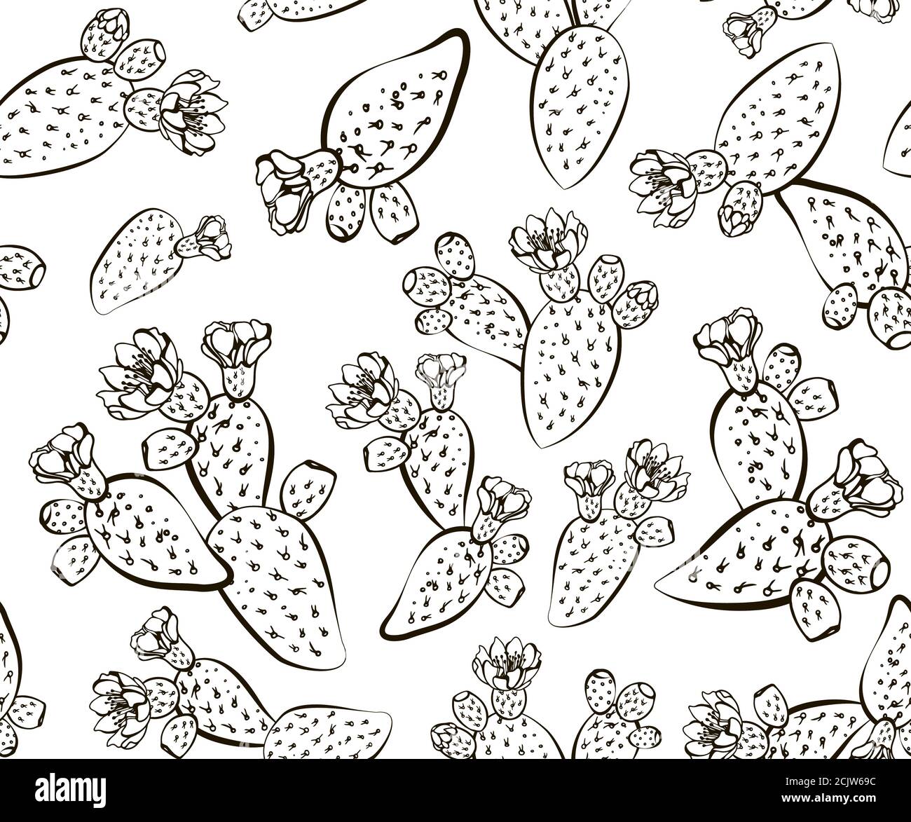 Cactus hand drawn vector seamless pattern. Creative texture Doodle ...