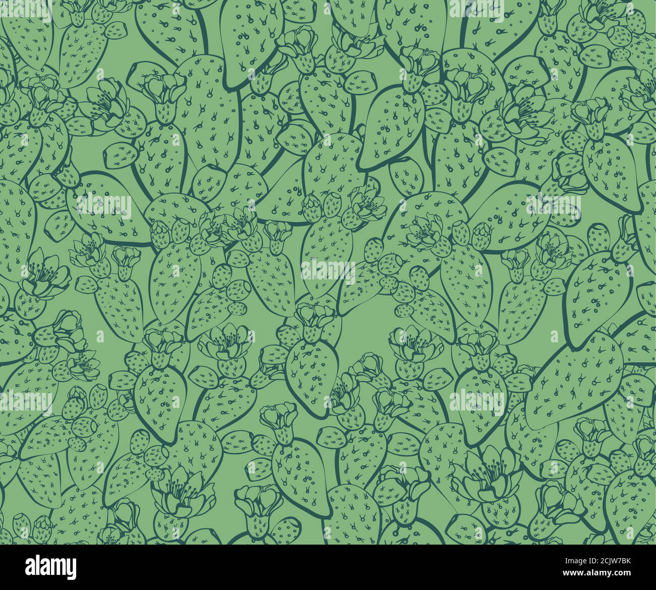 Cactus hand drawn vector seamless pattern. Creative texture Doodle ...