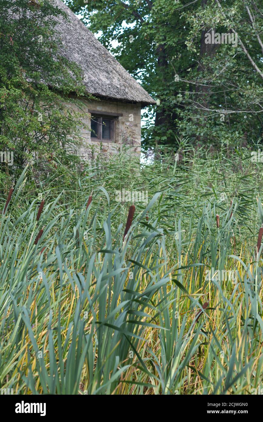 Cotswolds thatched roof houses hi-res stock photography and images - Alamy