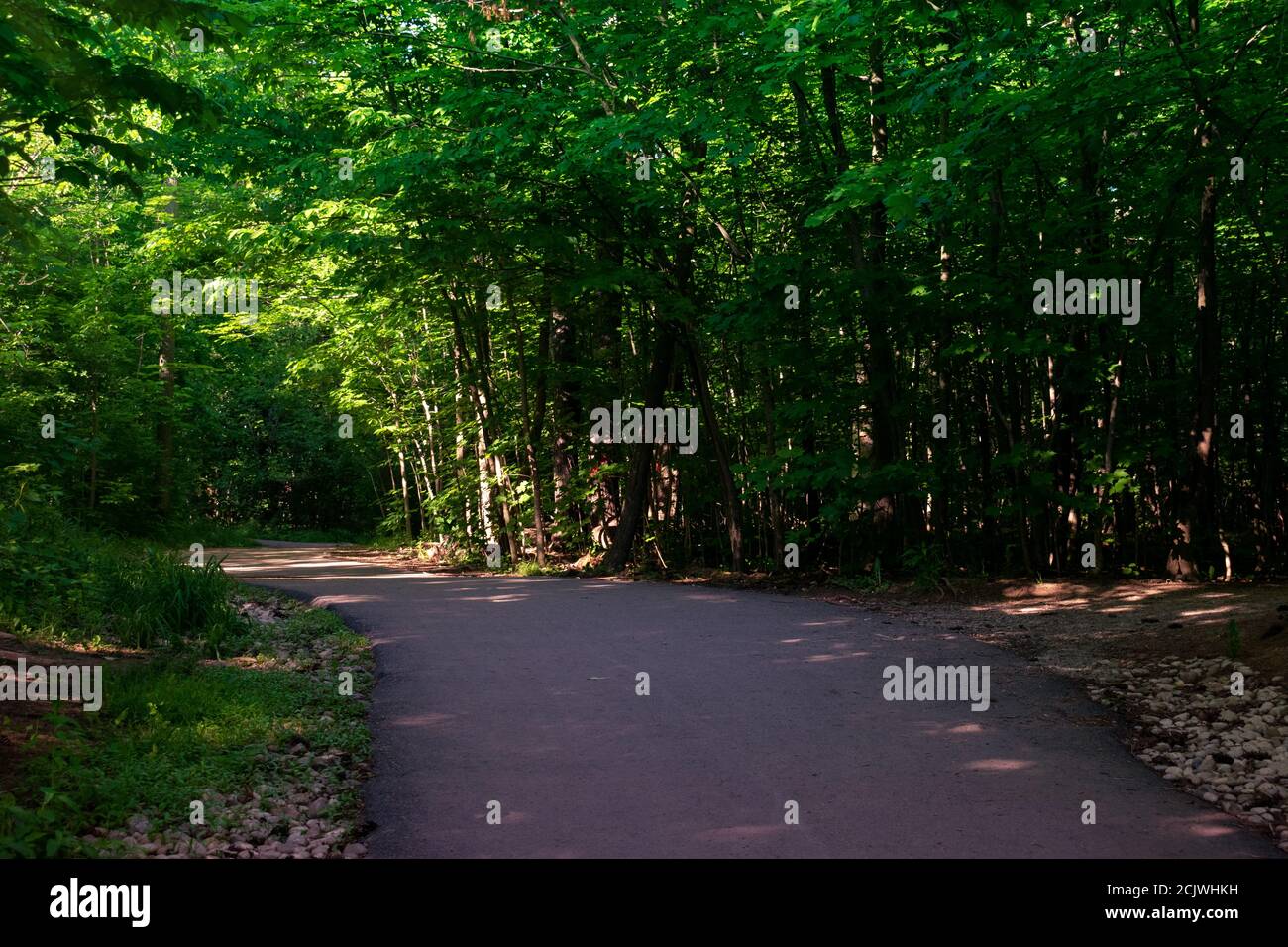 Summer trail with green trees Stock Photo - Alamy