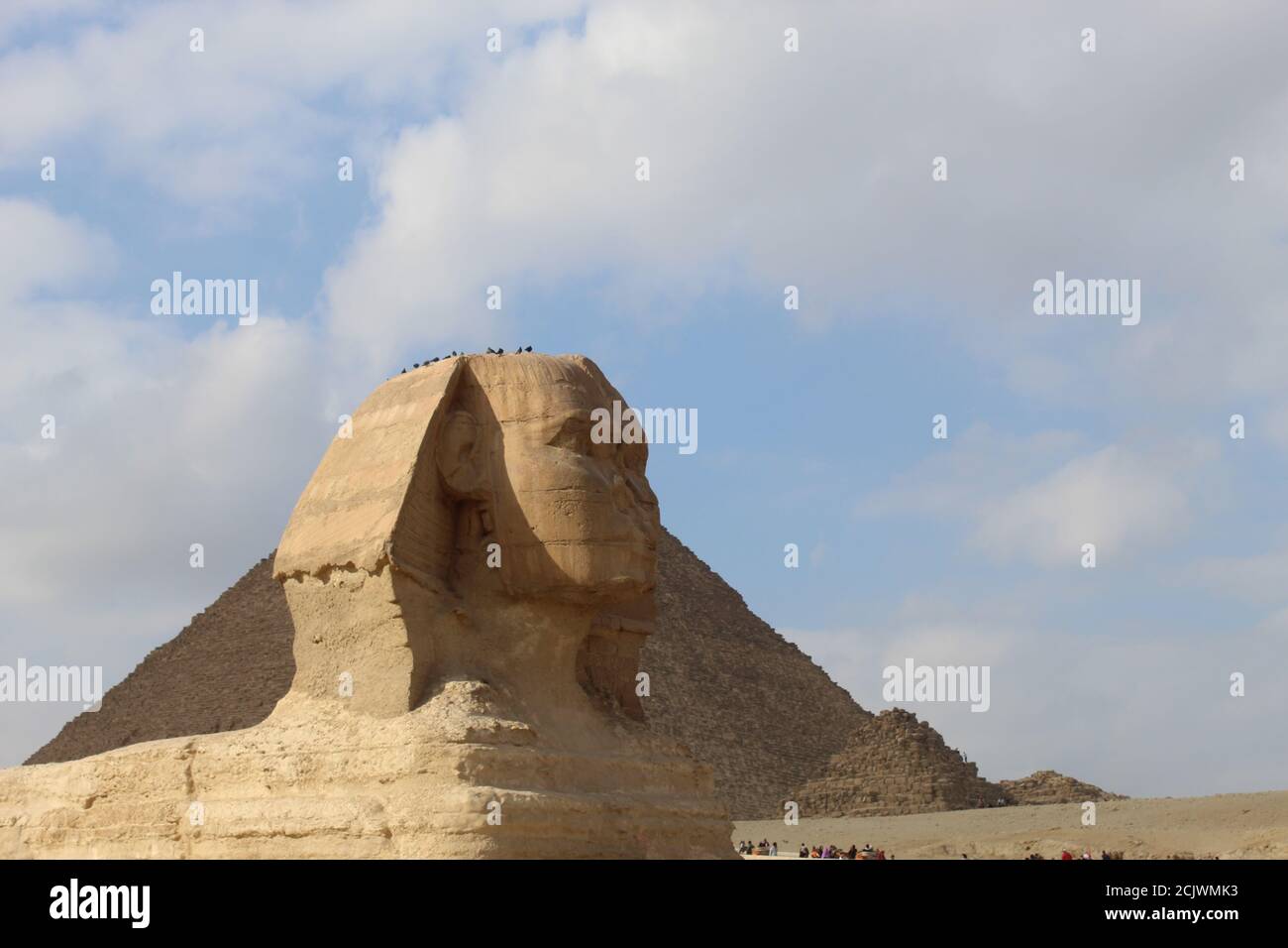 Sphinx, Egypt. The famous great sphinx at the Giza plateau, near Cairo ...