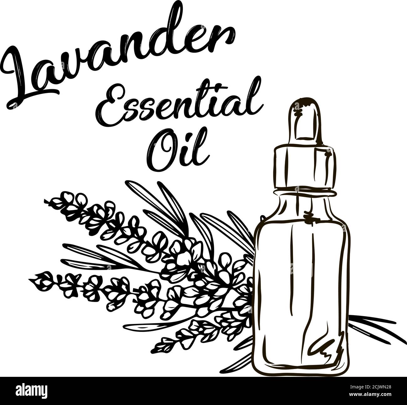 Lavander essential oil bottle and bunch of flowers hand drawn vector ...