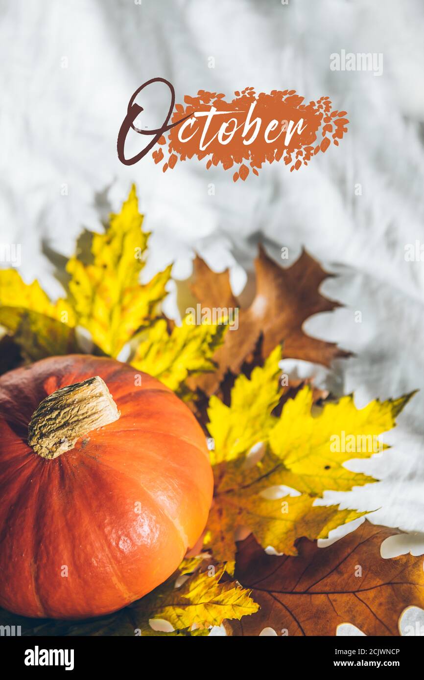 pumpkin with oak leaf on white sheets. october text Stock Photo - Alamy