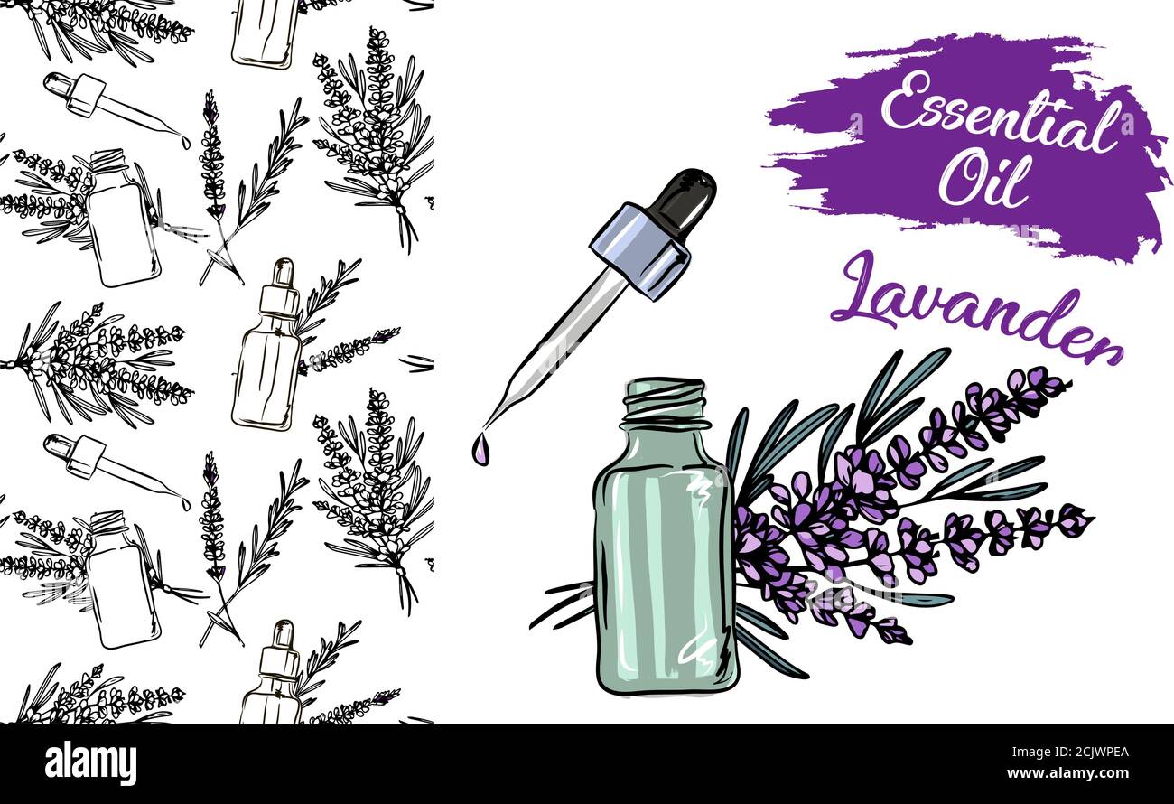 Lavander essential oil bottle and bunch of flowers hand drawn vector ...