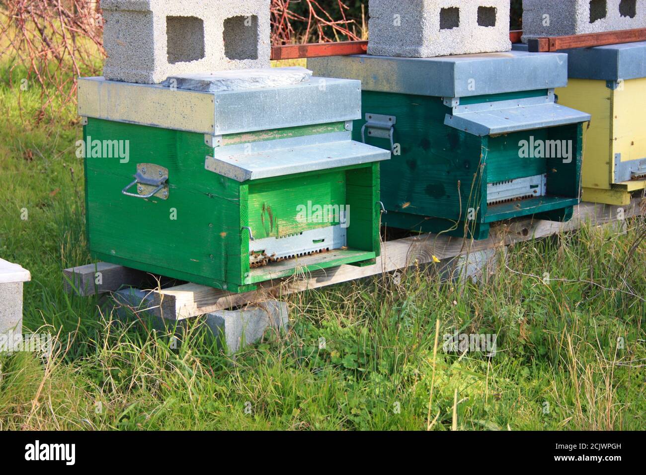colorful wooden constructions for raising bees and their honey. small ...