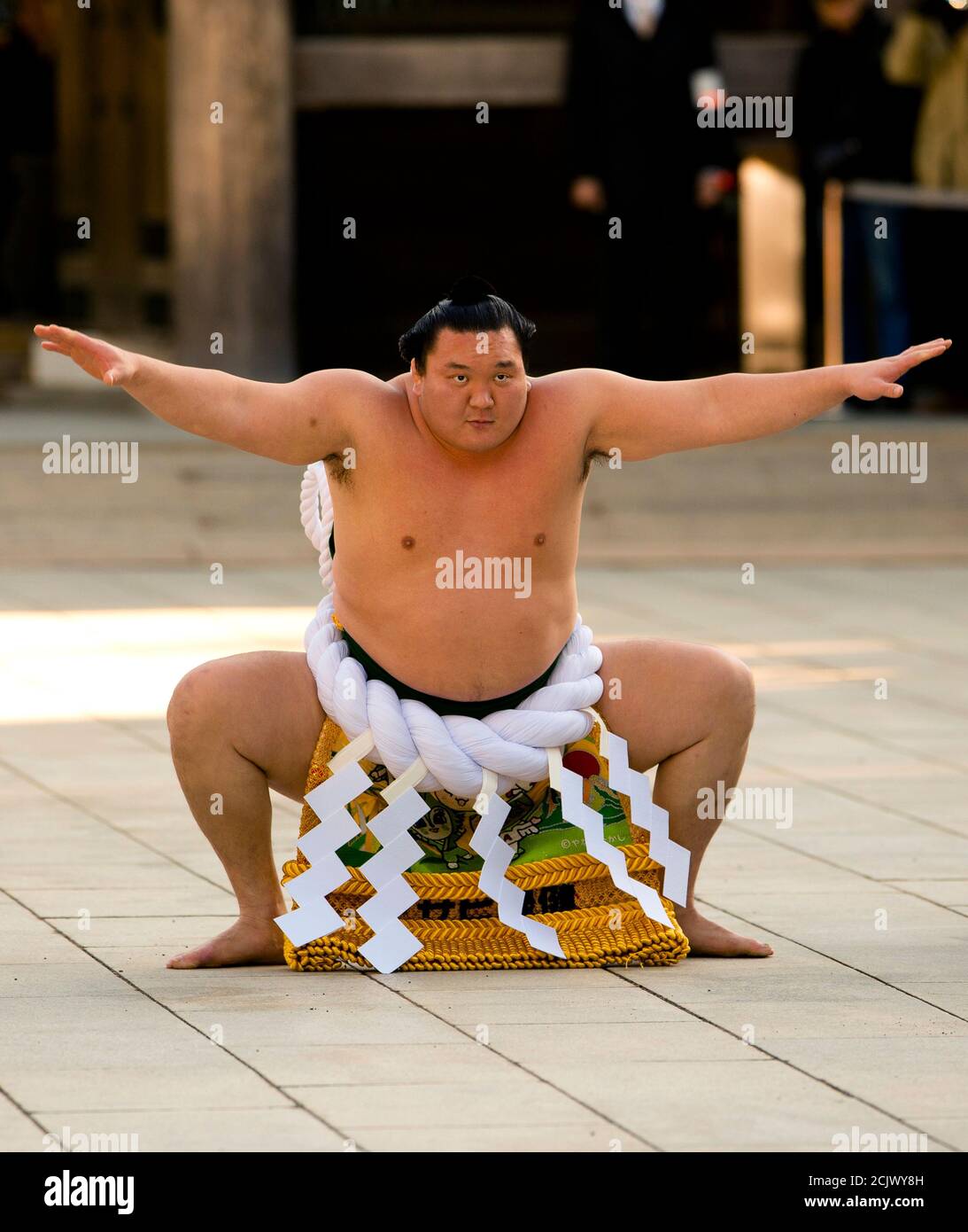 Men's T-Shirts JAPAN SUMO HAKUHO SHO " T-shirt For Sale By Rafensteiner ...