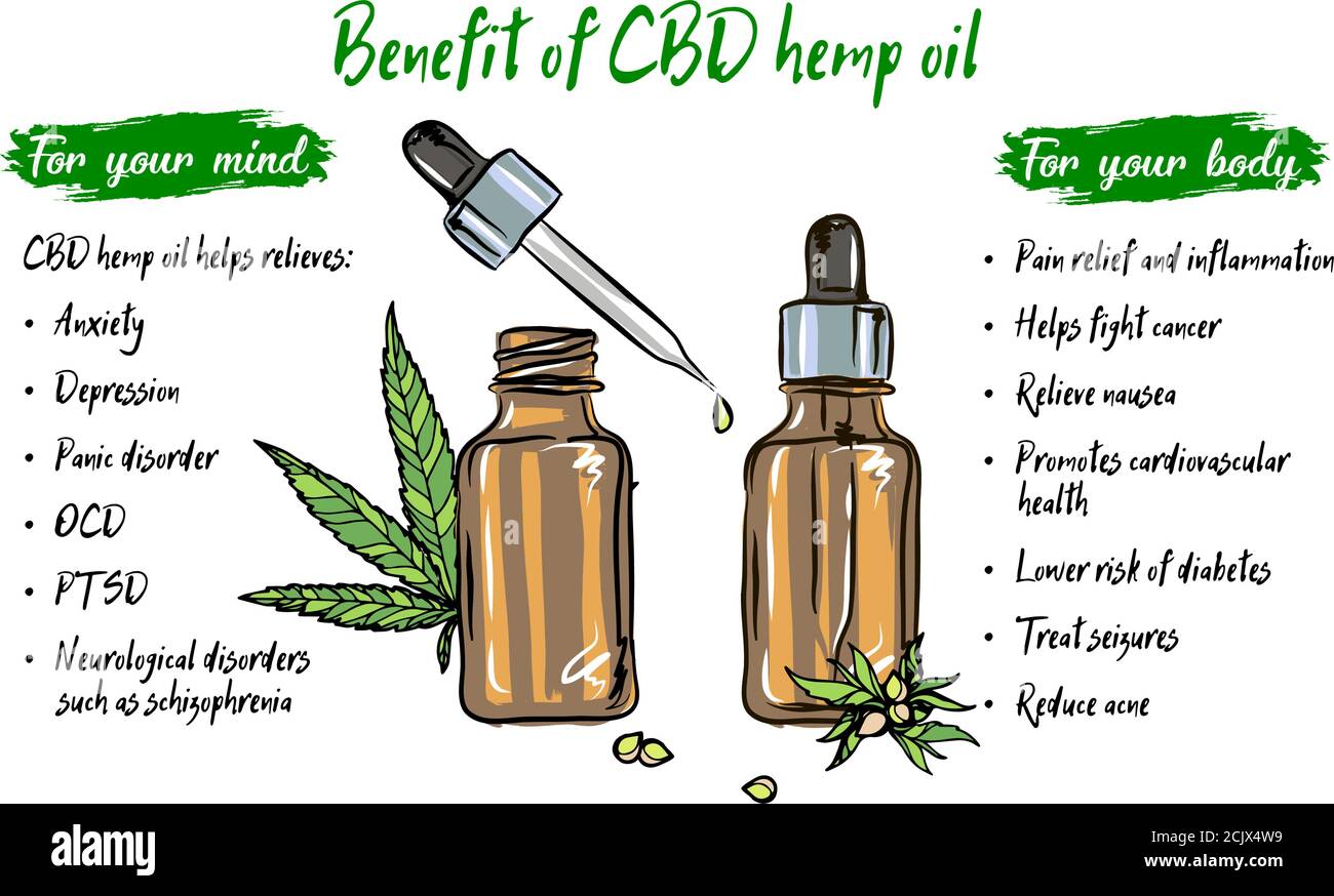 Cannabis sativa or cannabis indica plant. Marijuana leaves and seeds ...