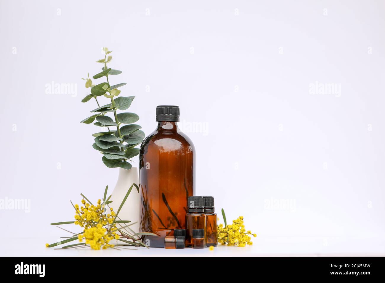Closeup of bottles of amber essential oil surrounded by wattle flowers ...