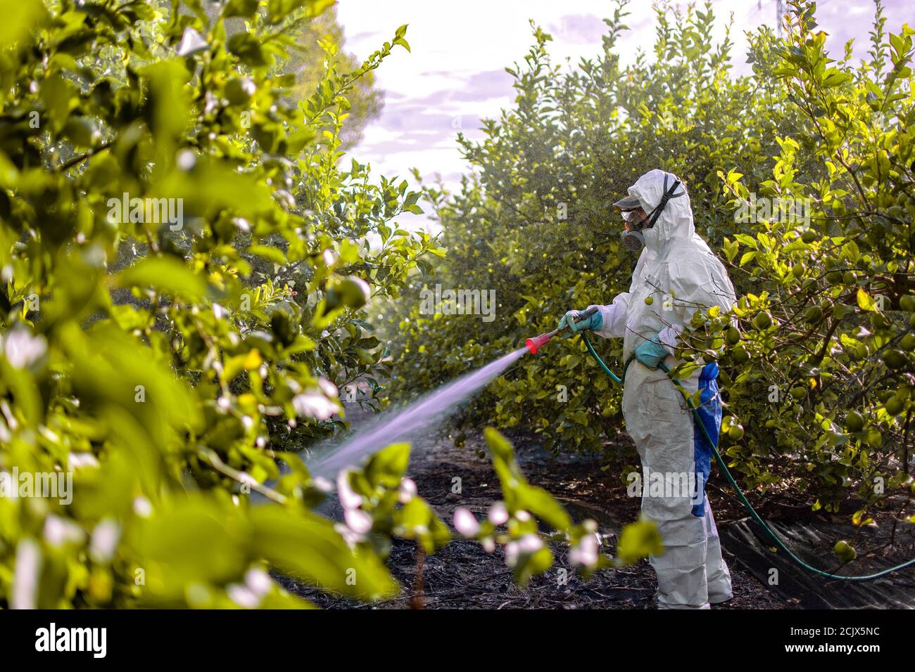 Farmer in protective clothes spray pesticides. Farm worker spray ...
