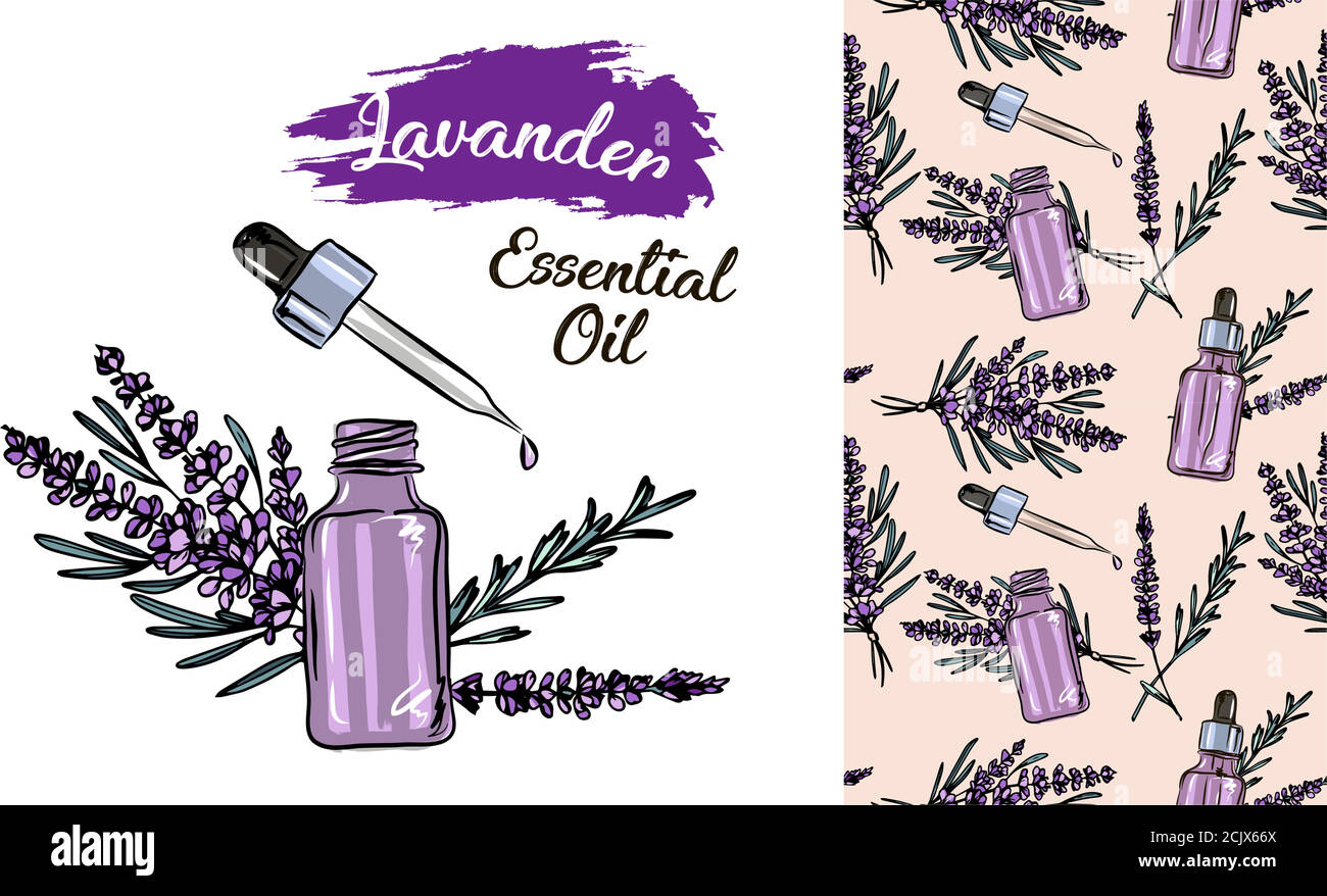 Lavander essential oil bottle and bunch of flowers hand drawn vector ...