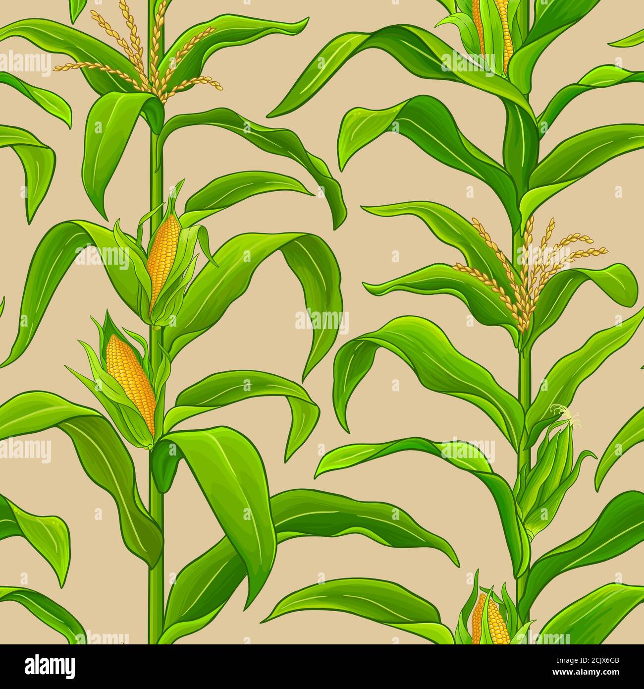 corn vector pattern Stock Vector Image & Art - Alamy