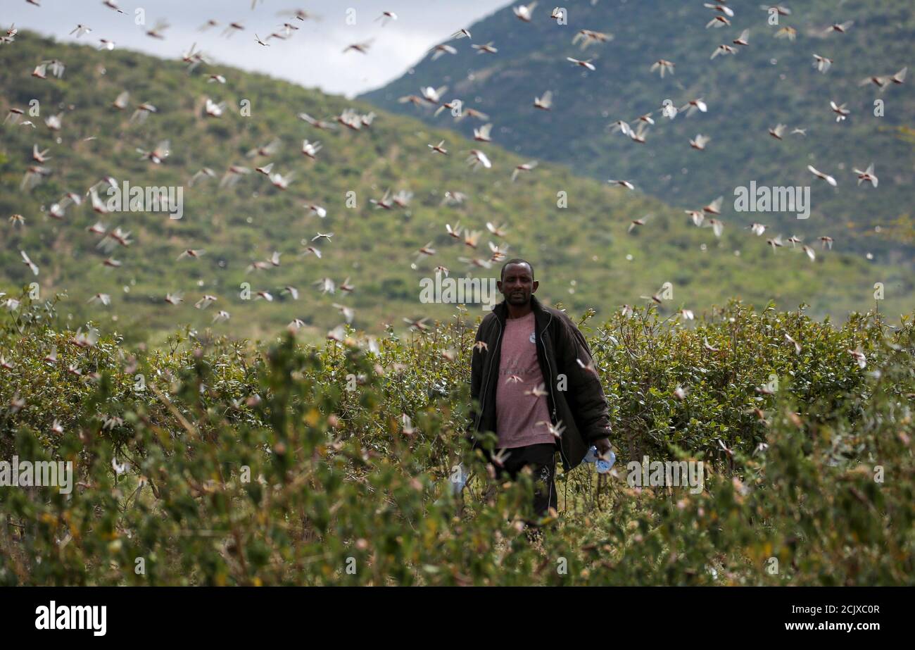 Somali Farmer High Resolution Stock Photography and Images - Alamy