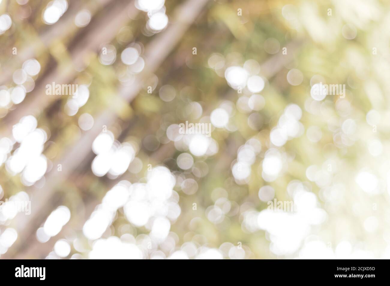 Soft light background hi-res stock photography and images - Alamy