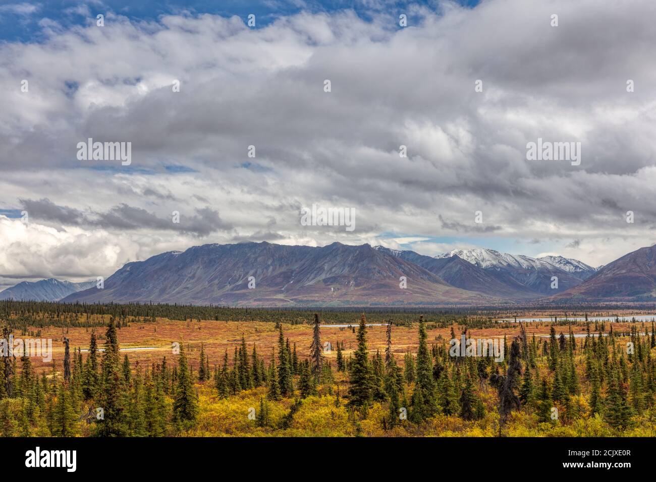Fall colors of the taiga in the Matanuska Valley in Southcentral Alaska ...