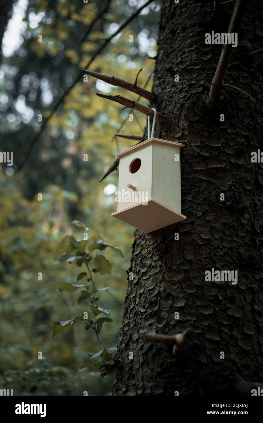 Wooden bird house on a tree Stock Photo - Alamy