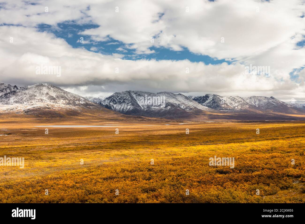 Fall colors in alpine tundra hi-res stock photography and images - Alamy