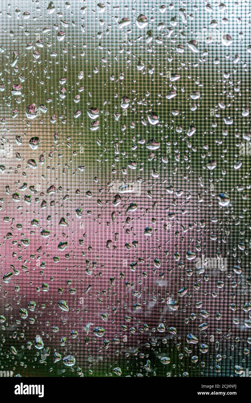 Spring colors outside can be seen through the window, which is covered ...