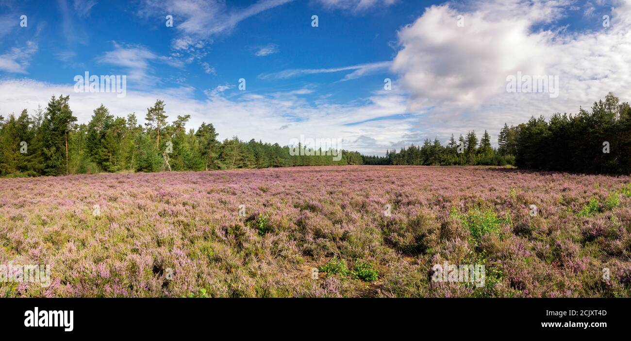 Dellen hi-res stock photography and images - Alamy