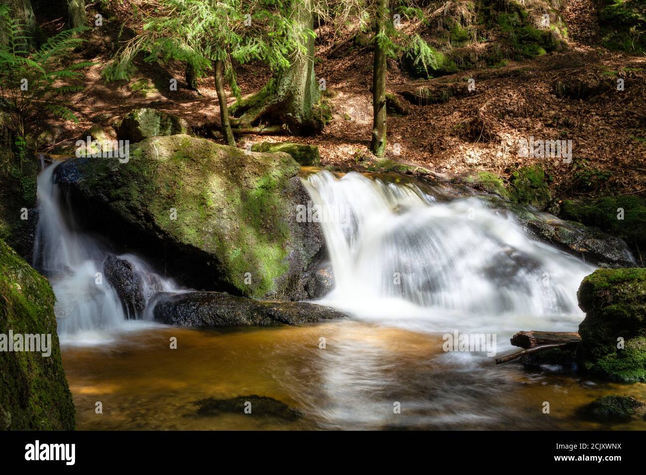 Beautiful green forest landscape with creek and waterfall with slow ...