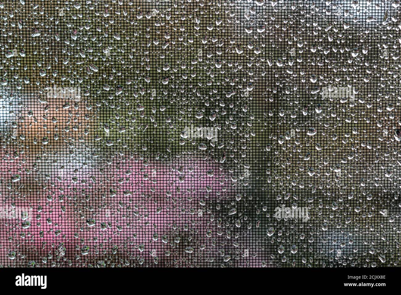 Spring colors outside can be seen through the window, which is covered ...