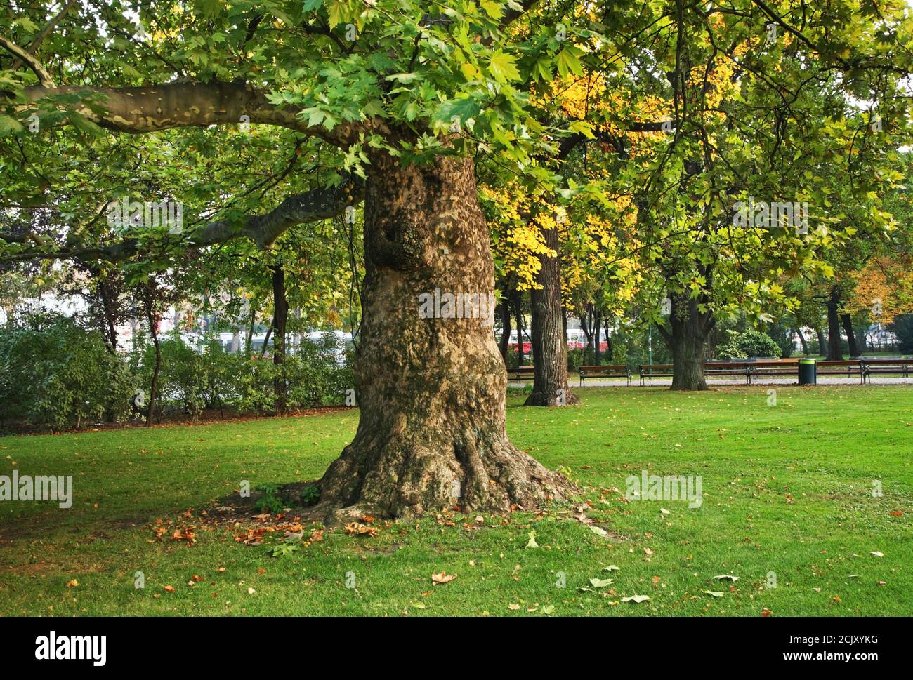 Townhouse park - Rathauspark in Vienna. Austria Stock Photo - Alamy
