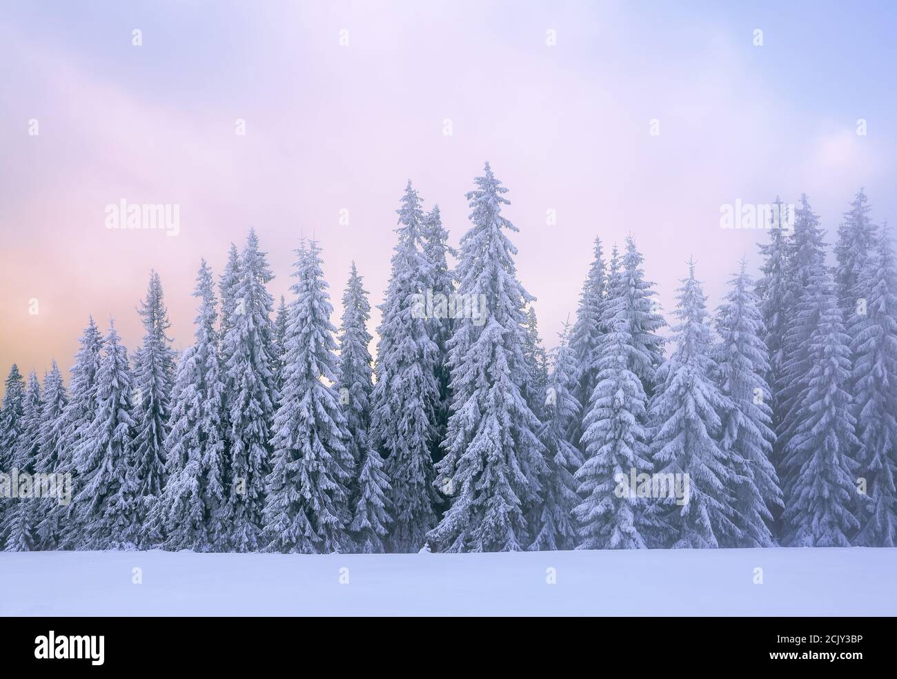 Beautiful Snow And Sun Wallpaper