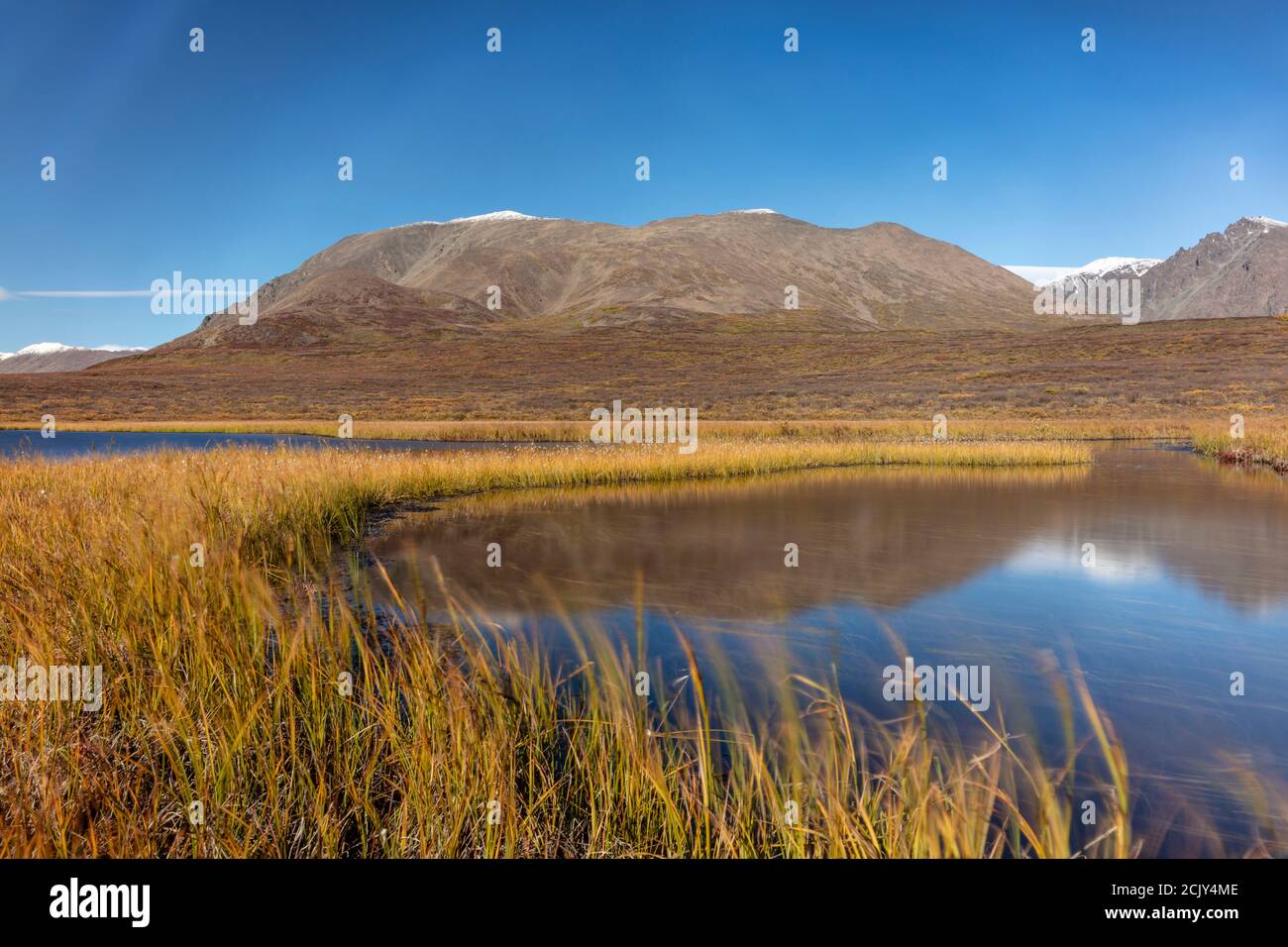 Kettle pond and Amphitheater Mountains along Denali Highway in ...