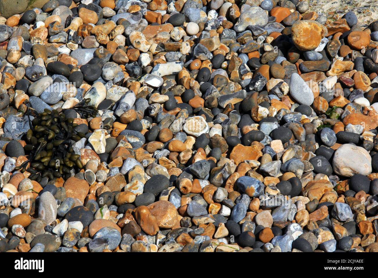 Stones on a beach at Reculver, Kent, UK Stock Photo - Alamy