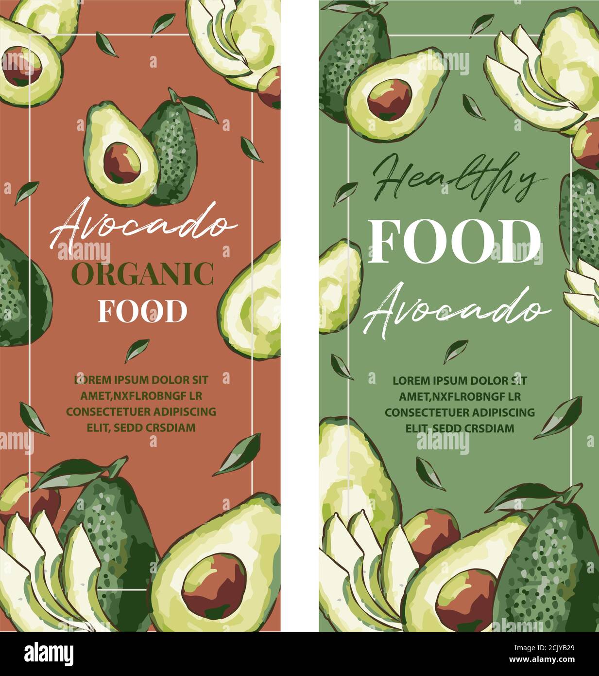 Background for avocado oil label, packaging. Illustration of fresh ...
