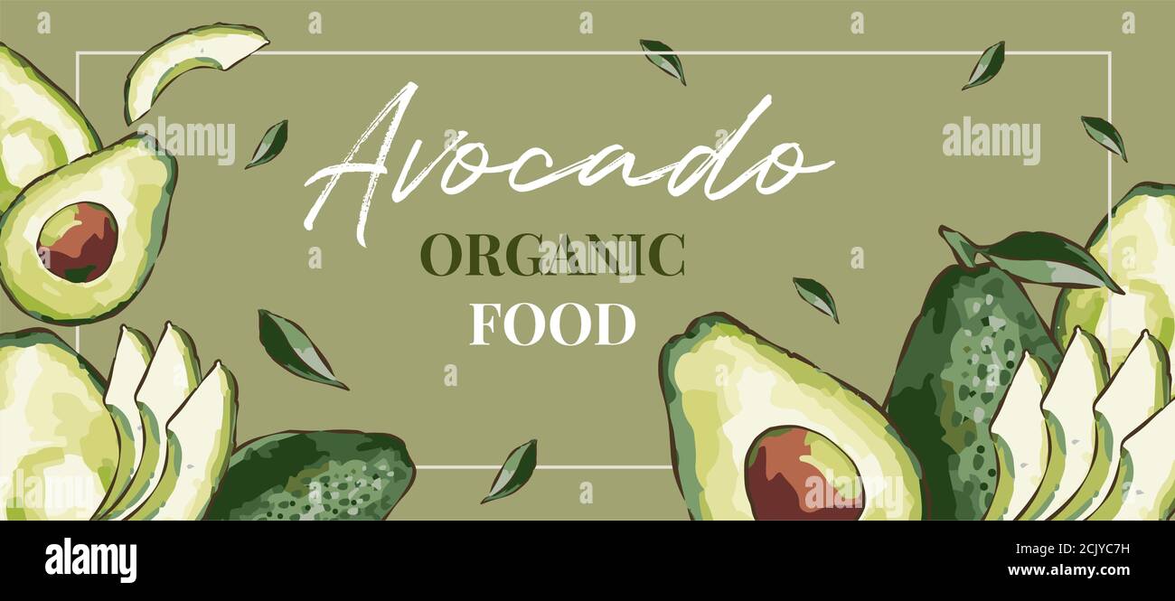 Background for avocado oil label, packaging. Illustration of fresh ...