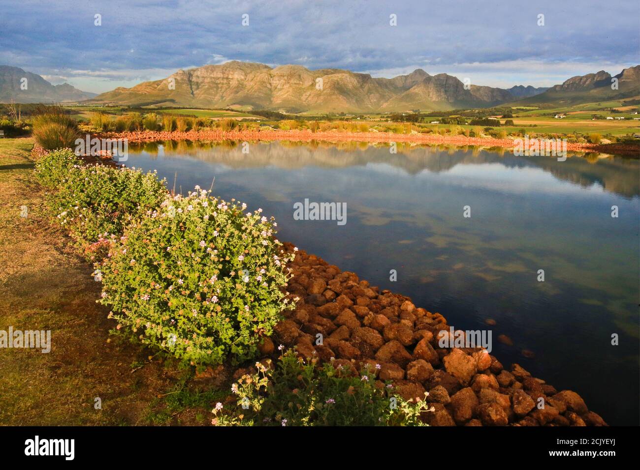 Cavalli Wine Estate, Stellenbosch, South Africa Stock Photo - Alamy