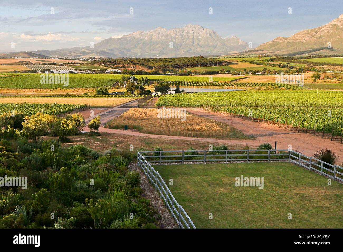 Cavalli Wine Estate, Stellenbosch, South Africa Stock Photo - Alamy