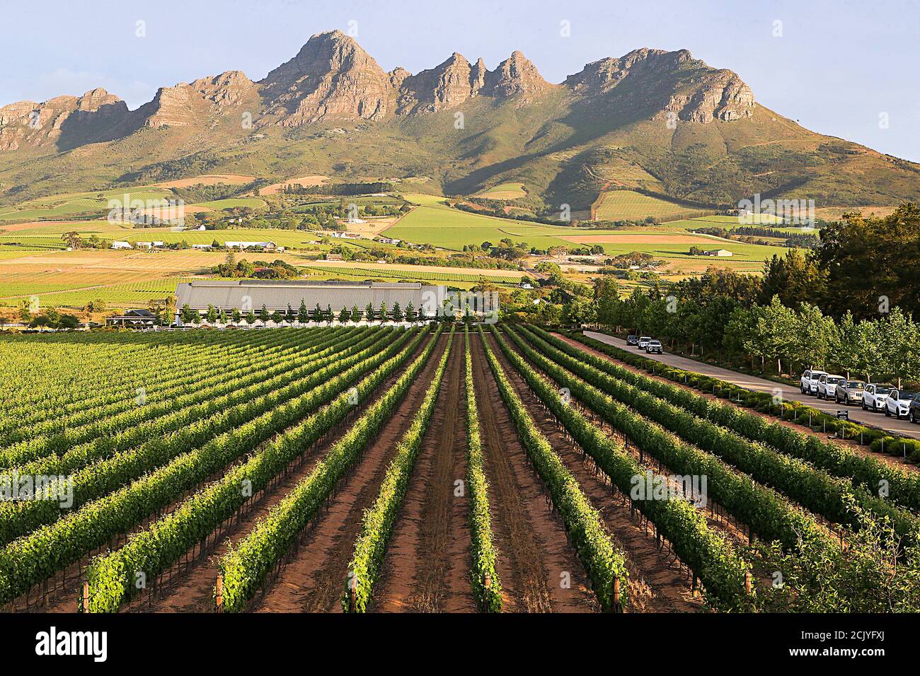 Cavalli Wine Estate, Stellenbosch Stock Photo - Alamy